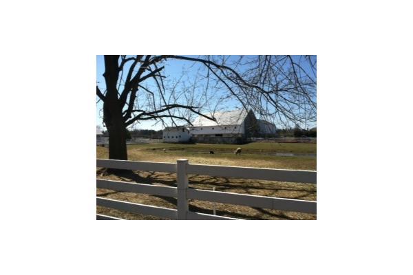 Amish Experience/ Amish Tours/ Magic Lantern Shows - Bird in Hand, PA