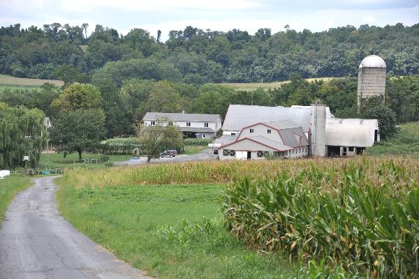 Amish Experience/ Amish Tours/ Magic Lantern Shows - Bird in Hand, PA