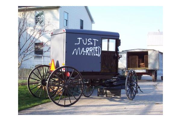 Amish Experience/ Amish Tours/ Magic Lantern Shows - Bird in Hand, PA
