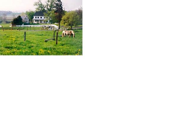 Amish Experience/ Amish Tours/ Magic Lantern Shows - Bird in Hand, PA