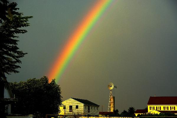 Amish Experience/ Amish Tours/ Magic Lantern Shows - Bird in Hand, PA
