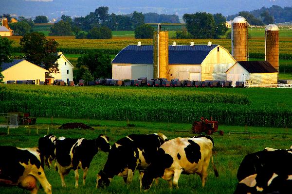 Amish Experience/ Amish Tours/ Magic Lantern Shows - Bird in Hand, PA