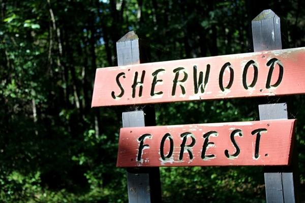 Camp Linden - Linden, MI