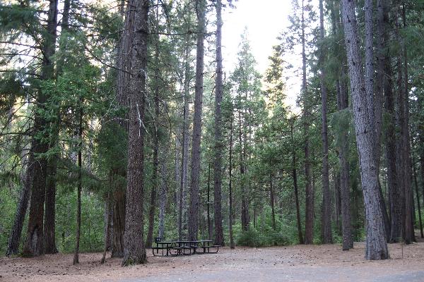 SLY PARK RECREATION AREA - Pollock Pines, CA